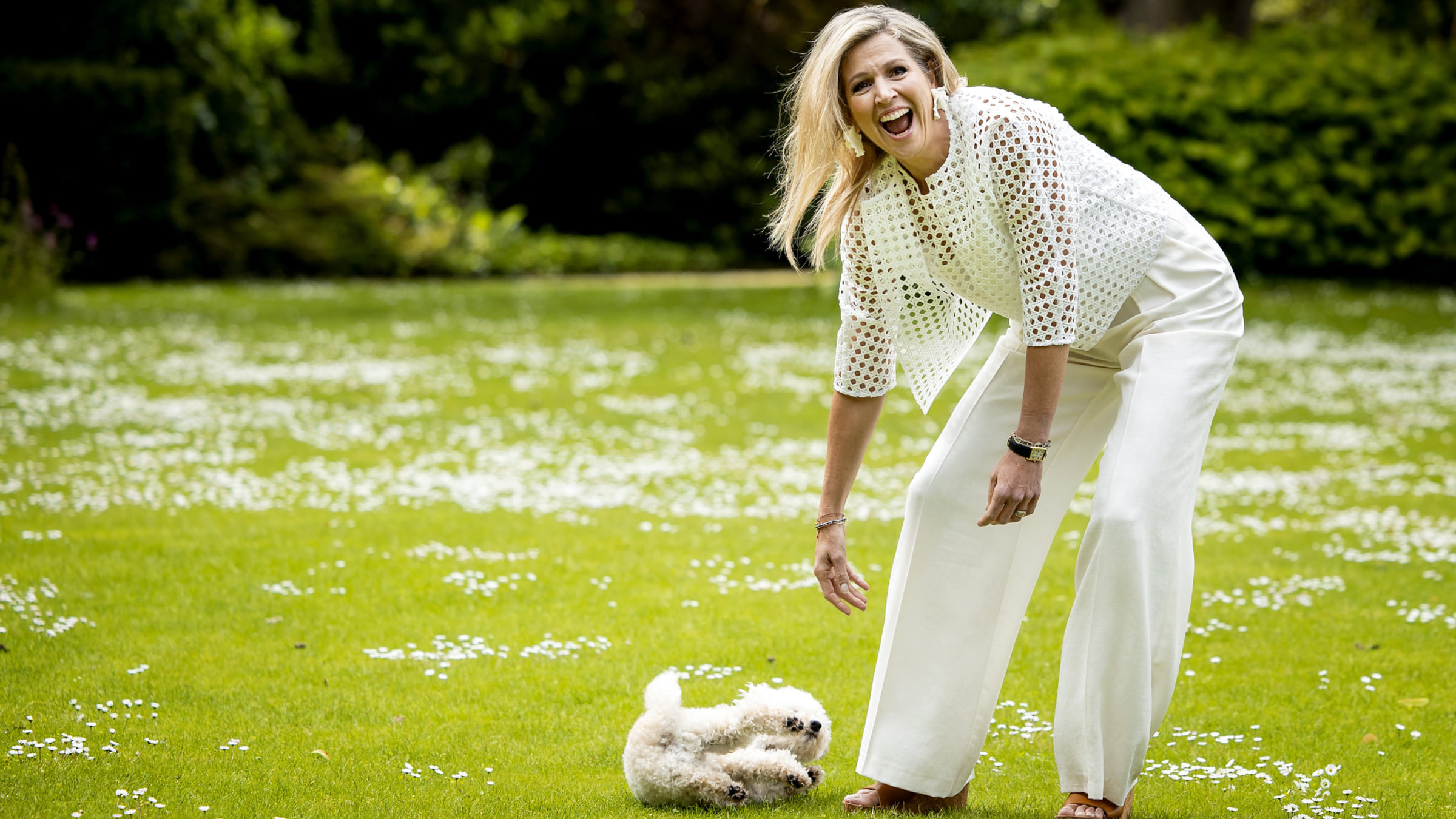 Dít wil je weten over Mambo, de koninklijke hond van Máxima - Blauw Bloed